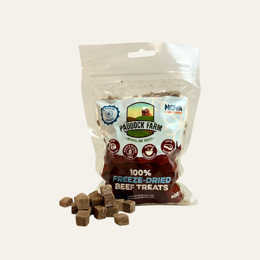Freeze Dried Beef Cubes 50g – BARK Dog Shop